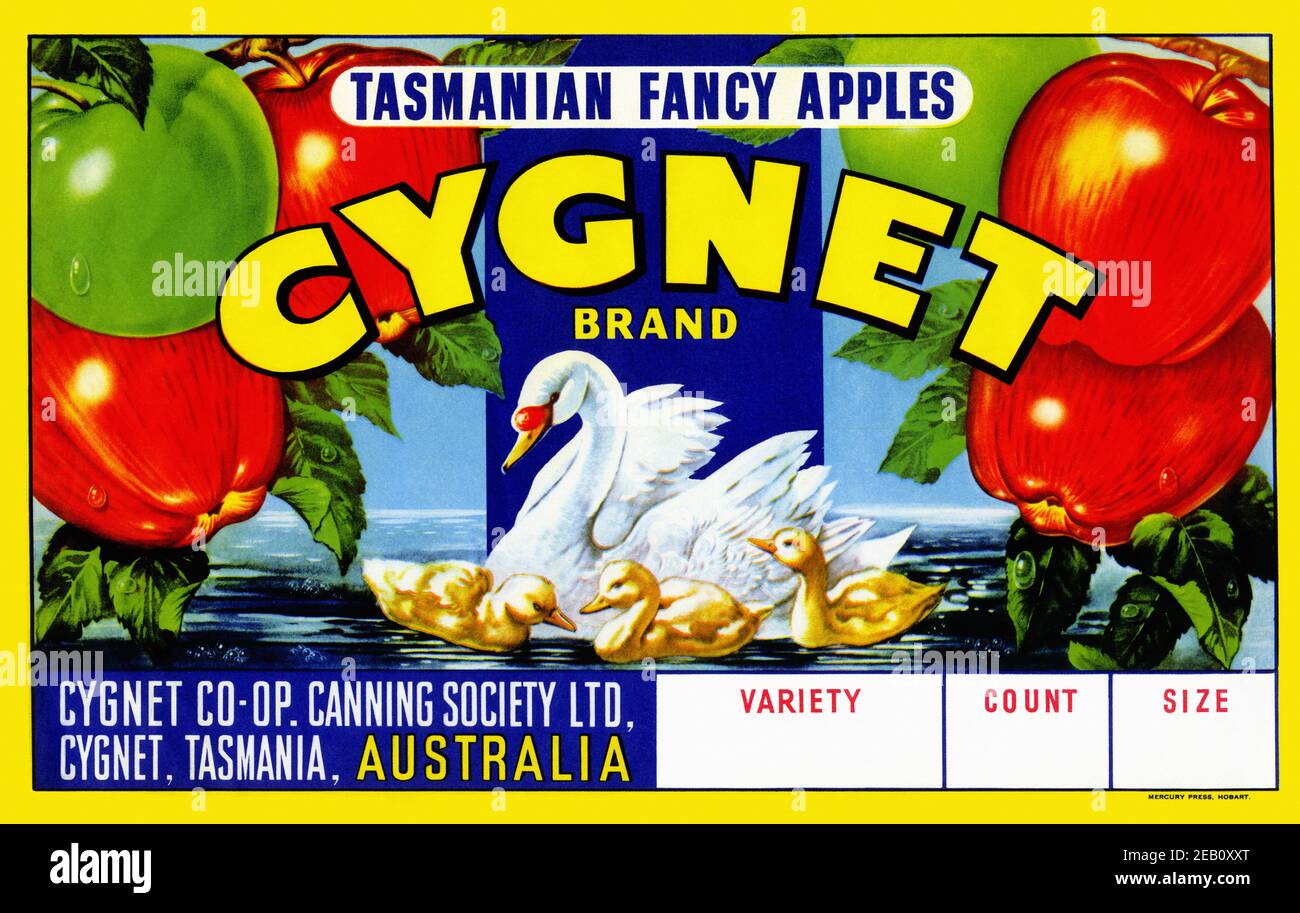 Cygnet Tasmanian Fancy Apples Stock Photo - Alamy