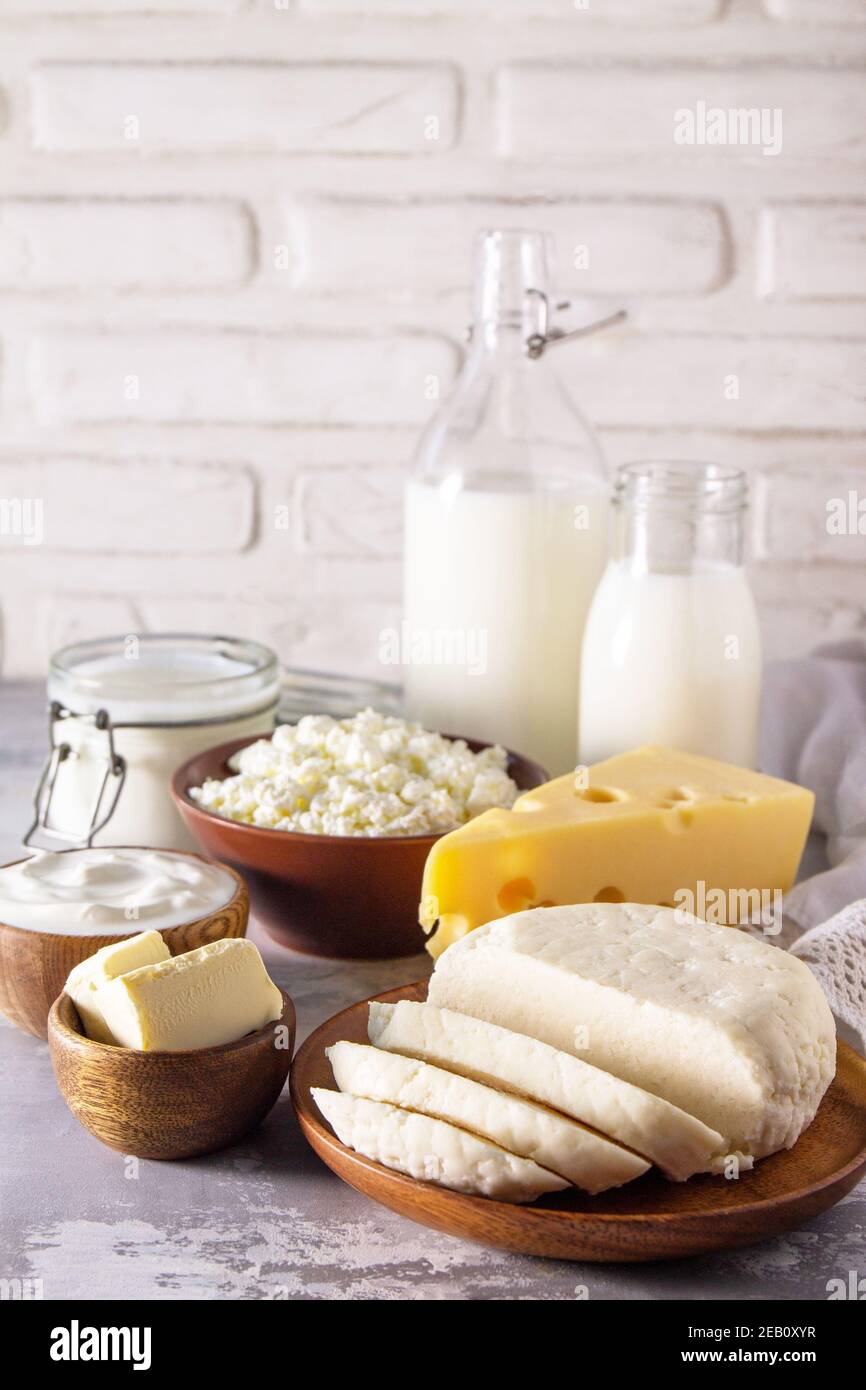 Set of different dairy products (milk, sour cream, cottage cheese ...