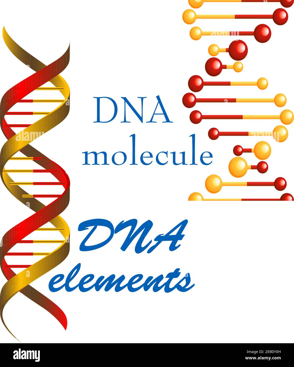 DNA molecule and elements symbols for medicine, genetics and biology ...