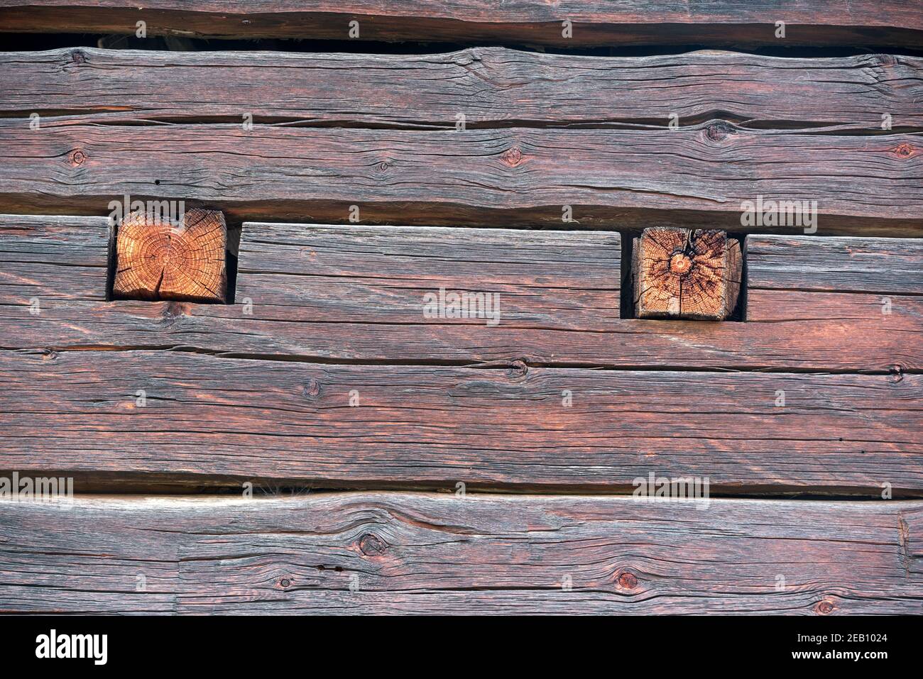 Log cabin exterior, Jim Moore Place historic site, Nez Perce National ...