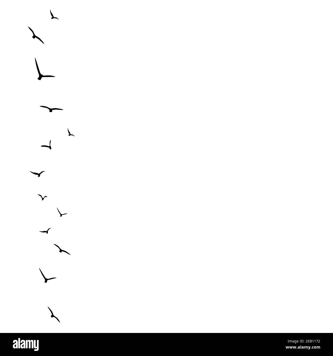 vector background with flying birds on the right side. Black swallows ...