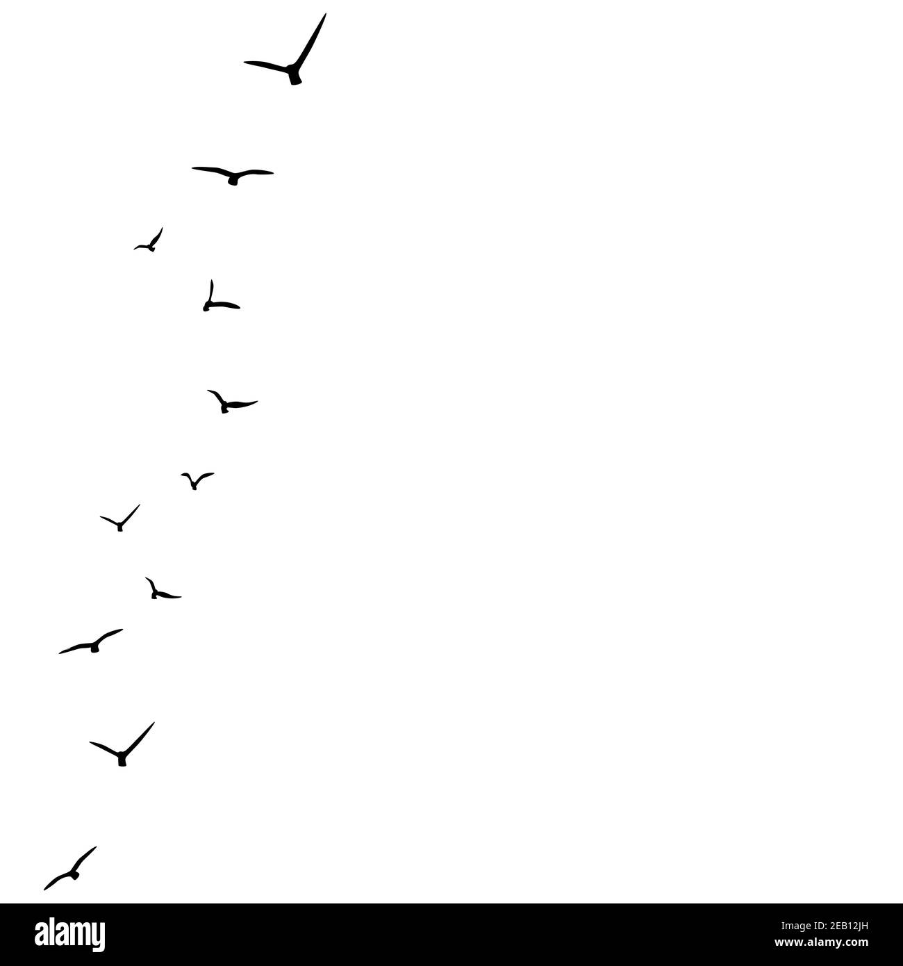 vector background with flying birds on the right side. Black swallows ...