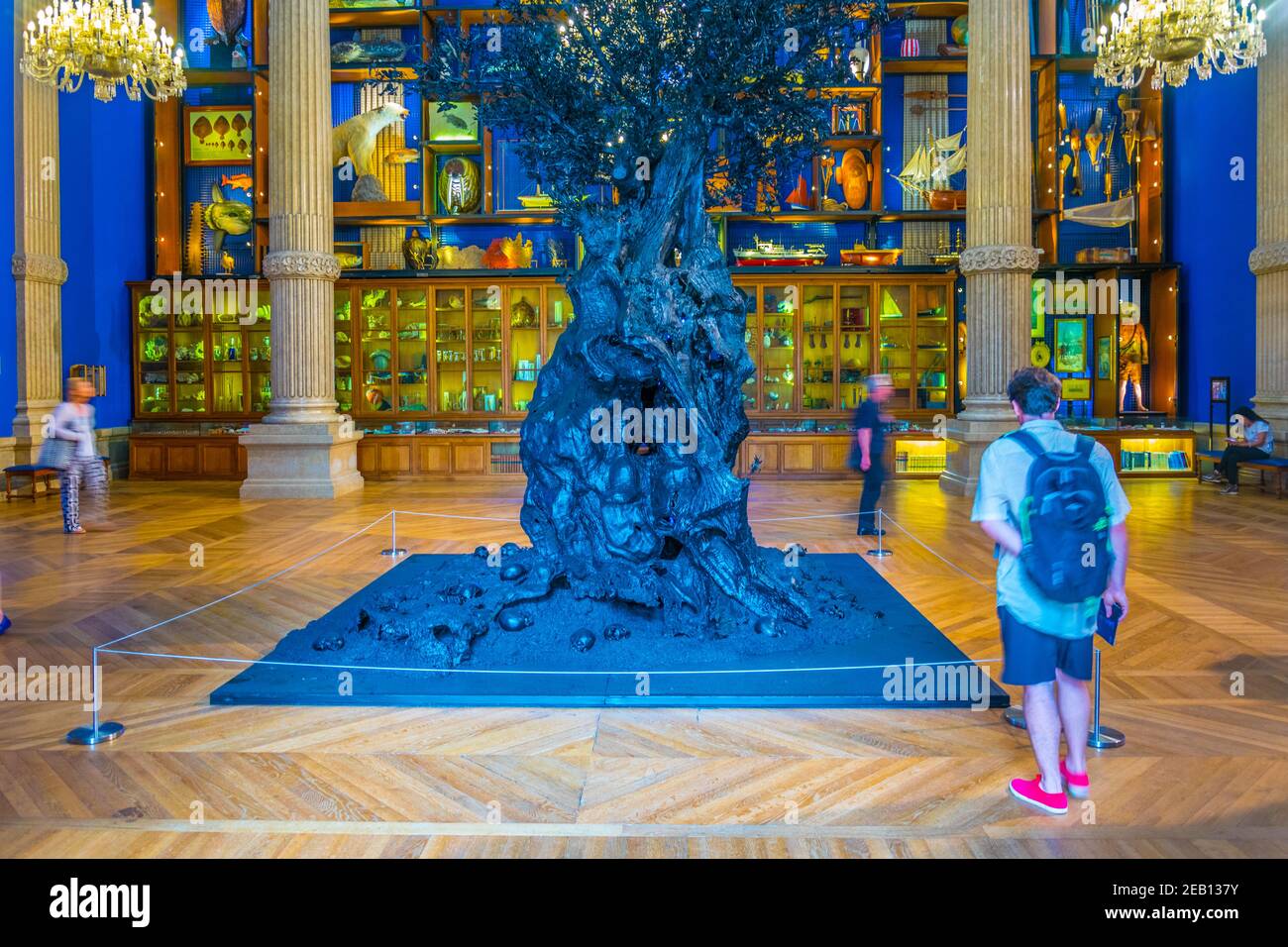 Monaco national museum inside hi-res stock photography and images - Alamy