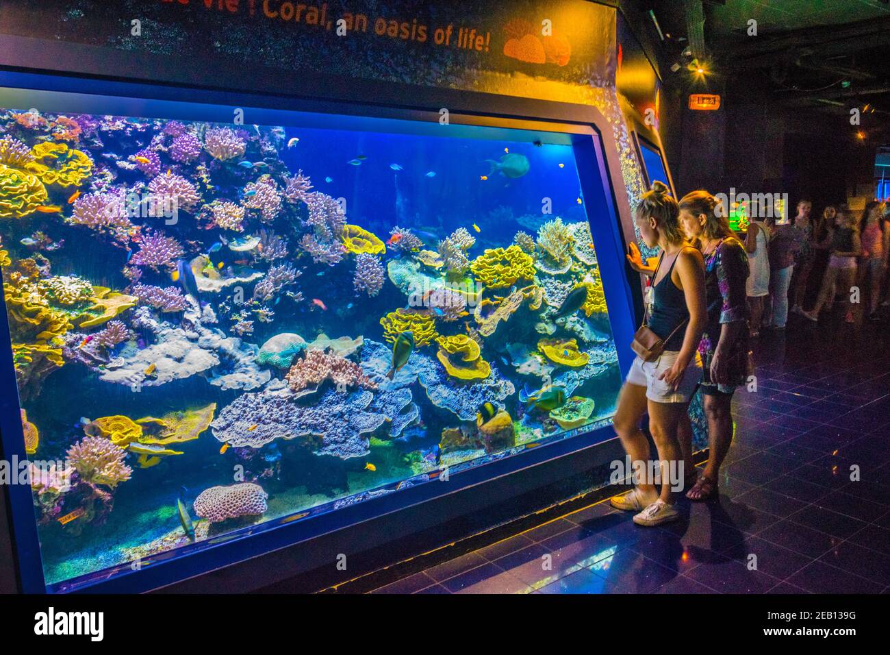 MONACO, MONACO, JUNE 14, 2017: Tourists are watching an aquarium inside ...