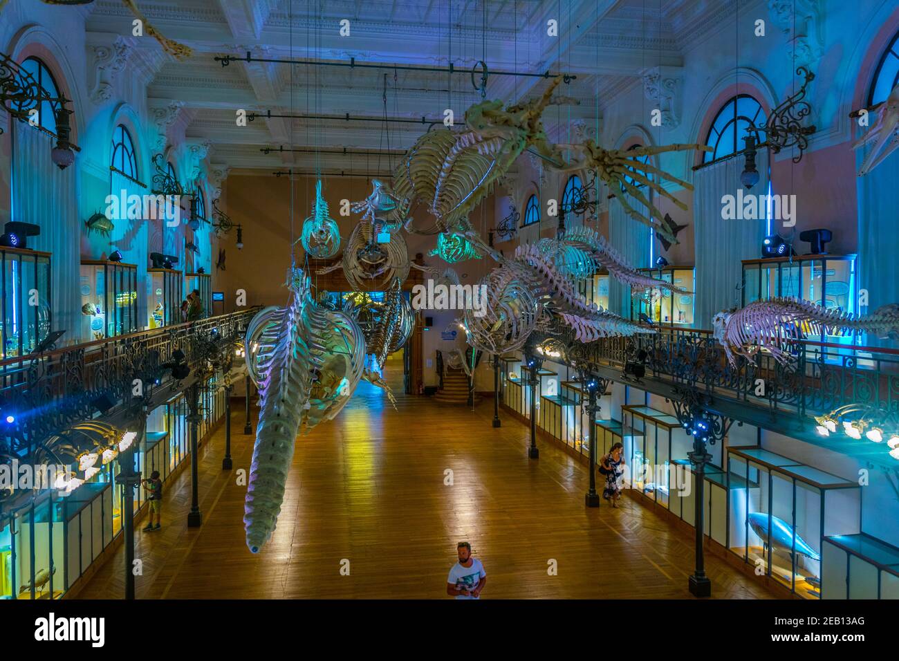 MONACO, MONACO, JUNE 14, 2017: View of interior of Musée ...