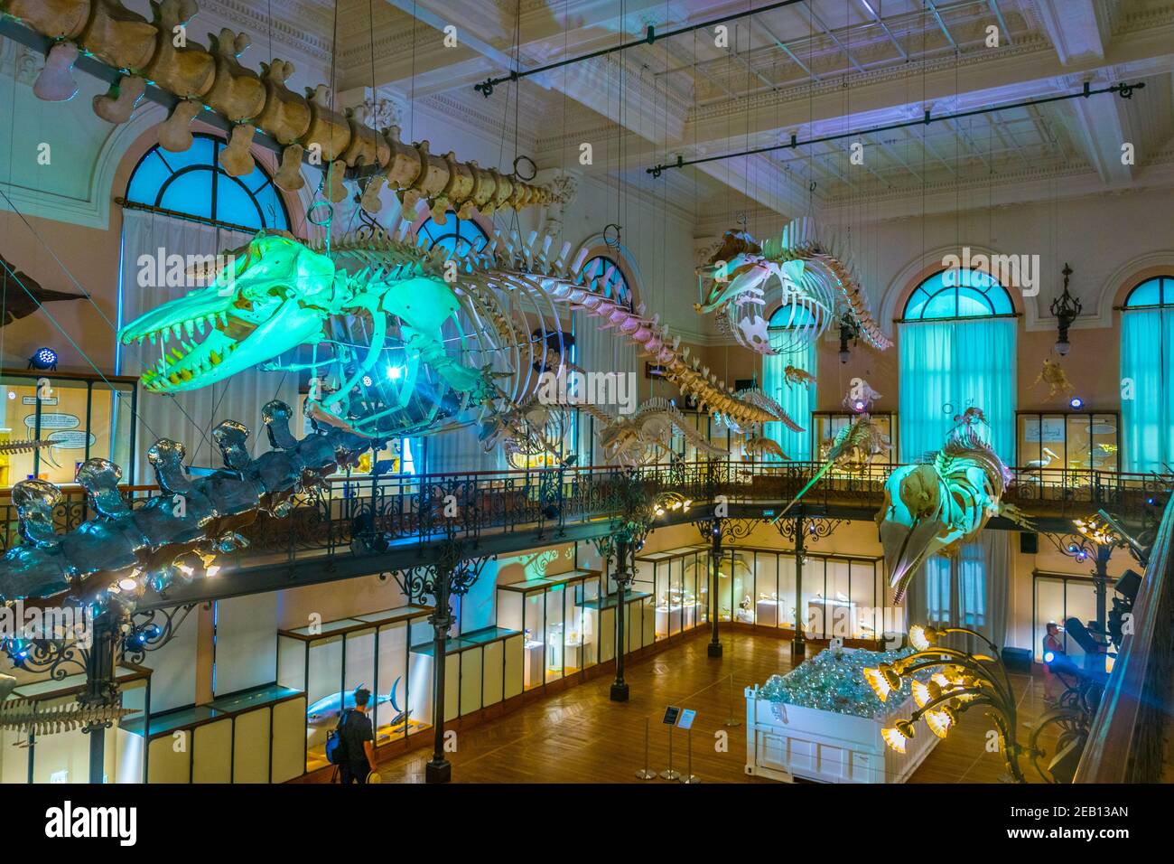 Fish bone architecture hi-res stock photography and images - Alamy