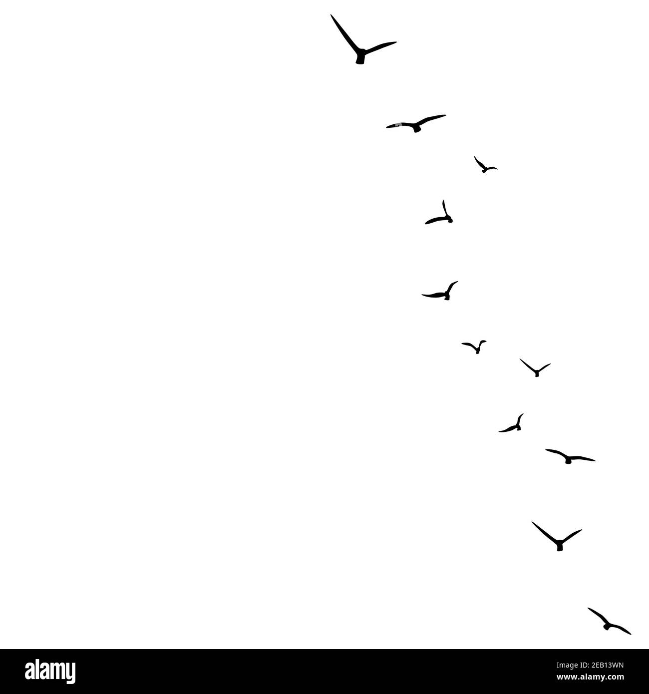 vector background with flying birds on the right side. Black swallows ...