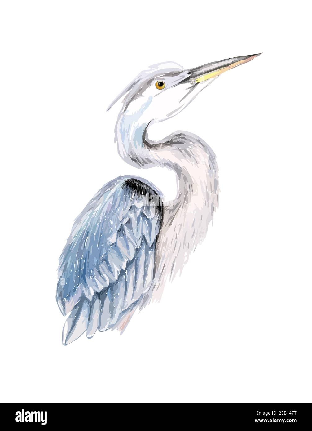 Blue Heron Cartoon
