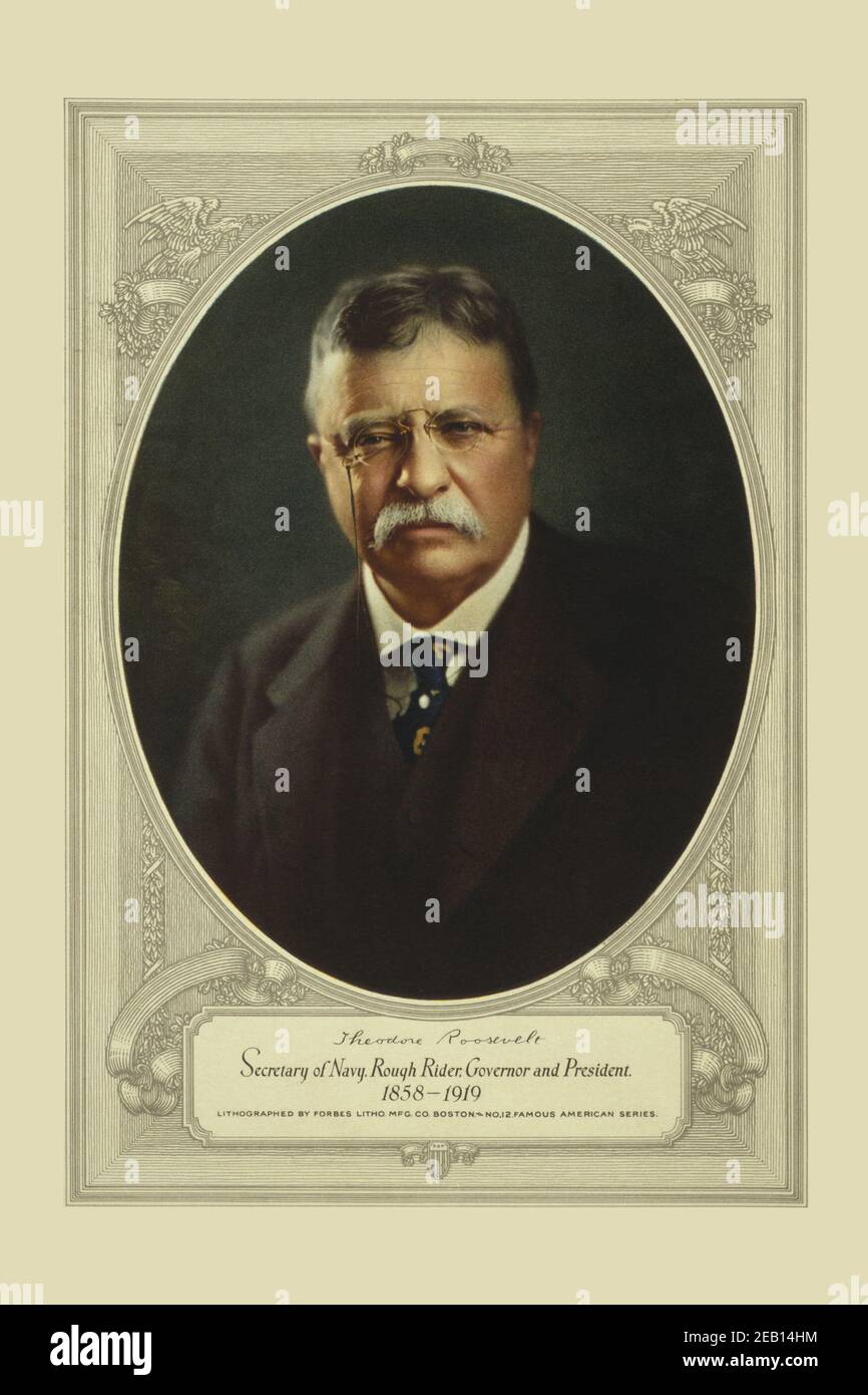 Quote theodore roosevelt hi-res stock photography and images - Alamy