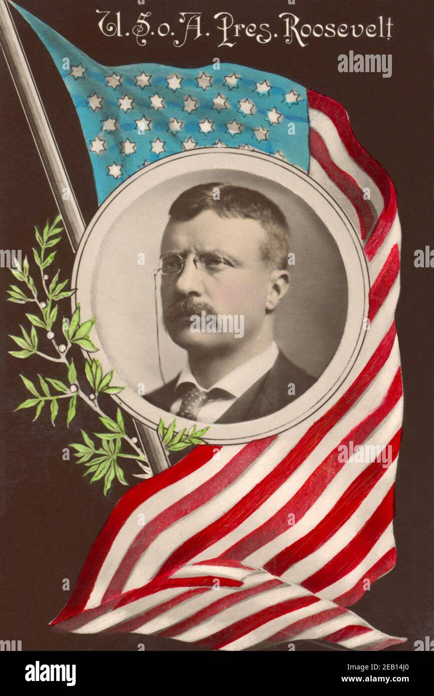 U. S. of A., President Roosevelt 1907 Stock Photo - Alamy