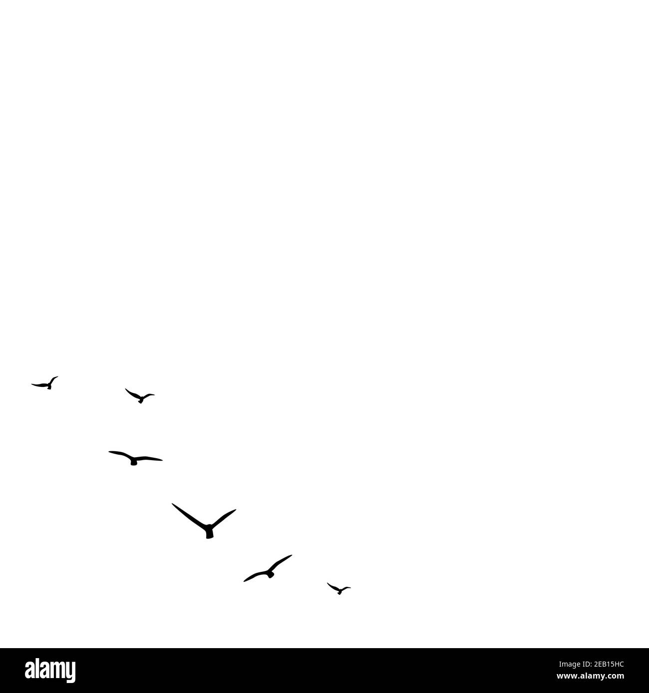 vector background with flying birds on the right side. Black swallows ...