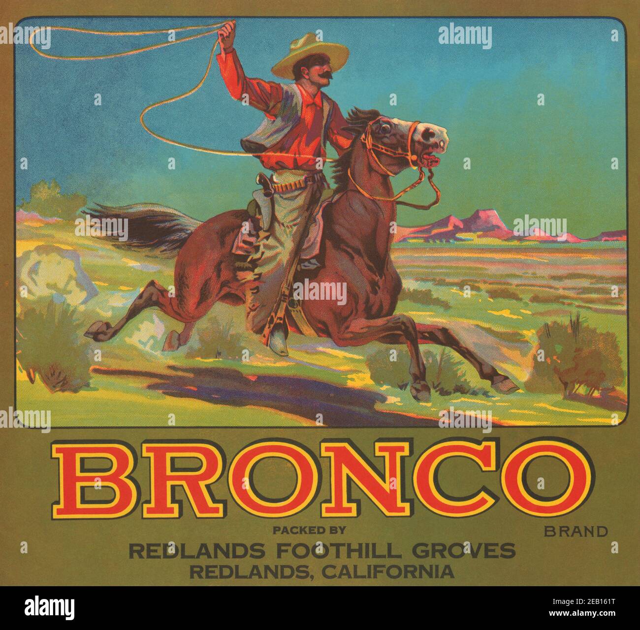 Bronco Brand Crate Label 1930 Stock Photo - Alamy