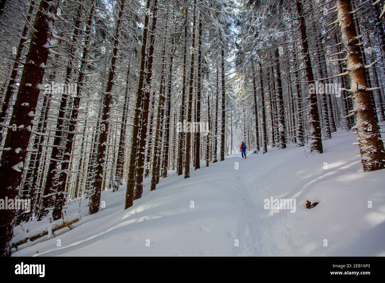 Man Hiking in winter Stock Photo - Alamy