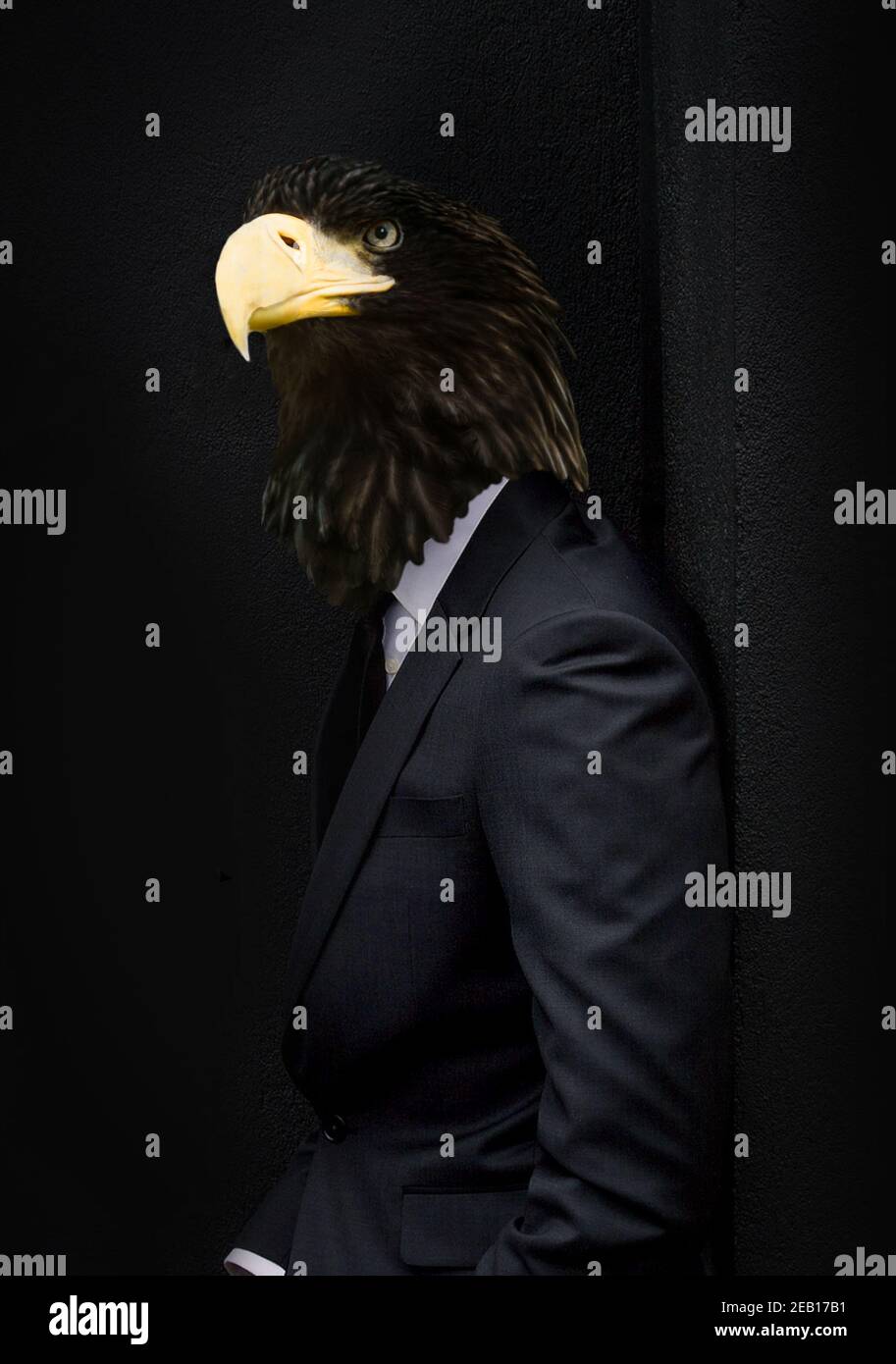 Antropomorphism hi-res stock photography and images - Alamy