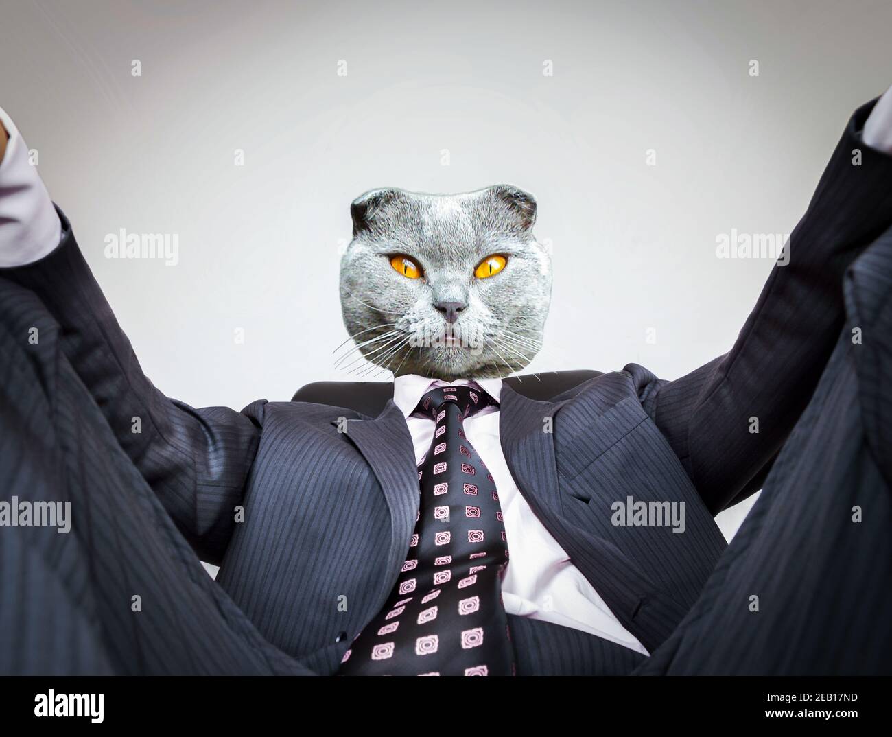 business man with animal head Stock Photo - Alamy