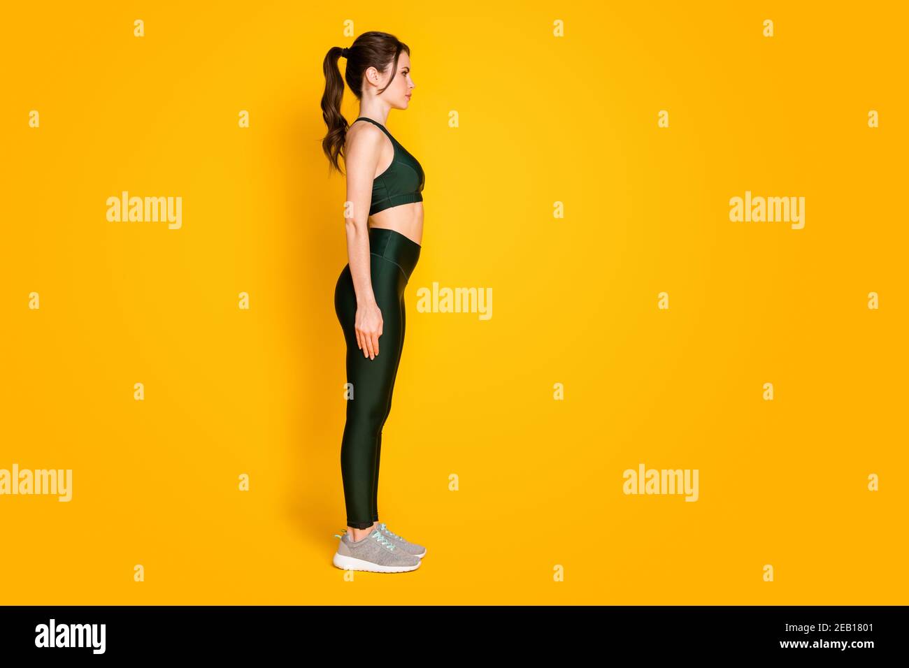 What Is Body Profile