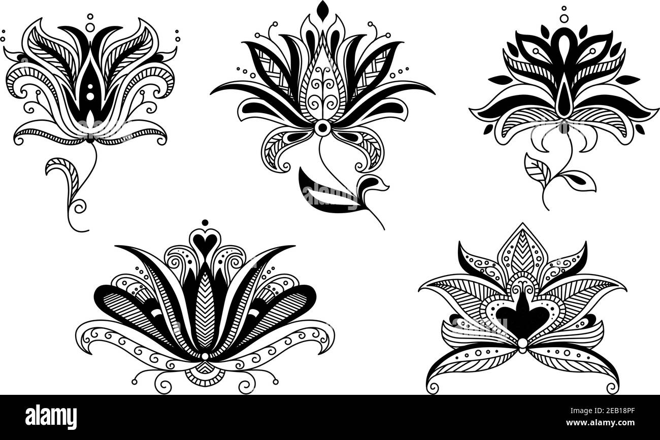 Intricate bloom Stock Vector Images - Alamy