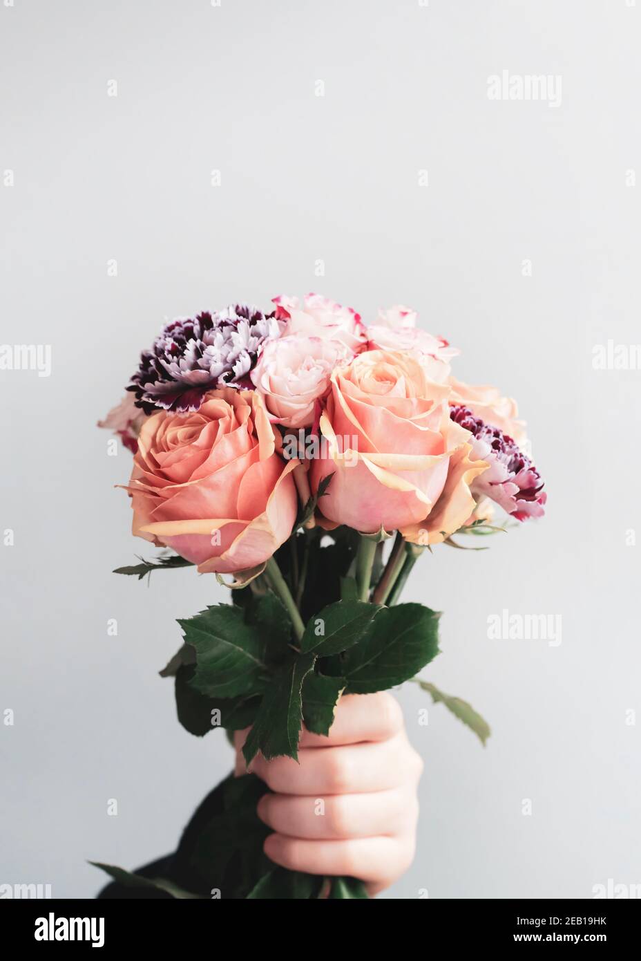 hand holding a Beautiful Bocquet of roses on a plane background Stock ...