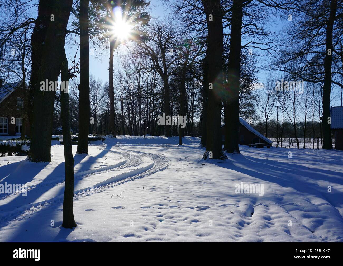 Winter landscape. Traces of a tractor can be seen in the snow. Bare ...