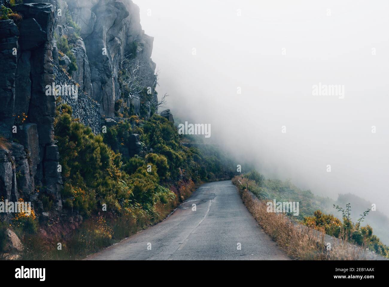 Mystical rural foggy road hi-res stock photography and images - Alamy