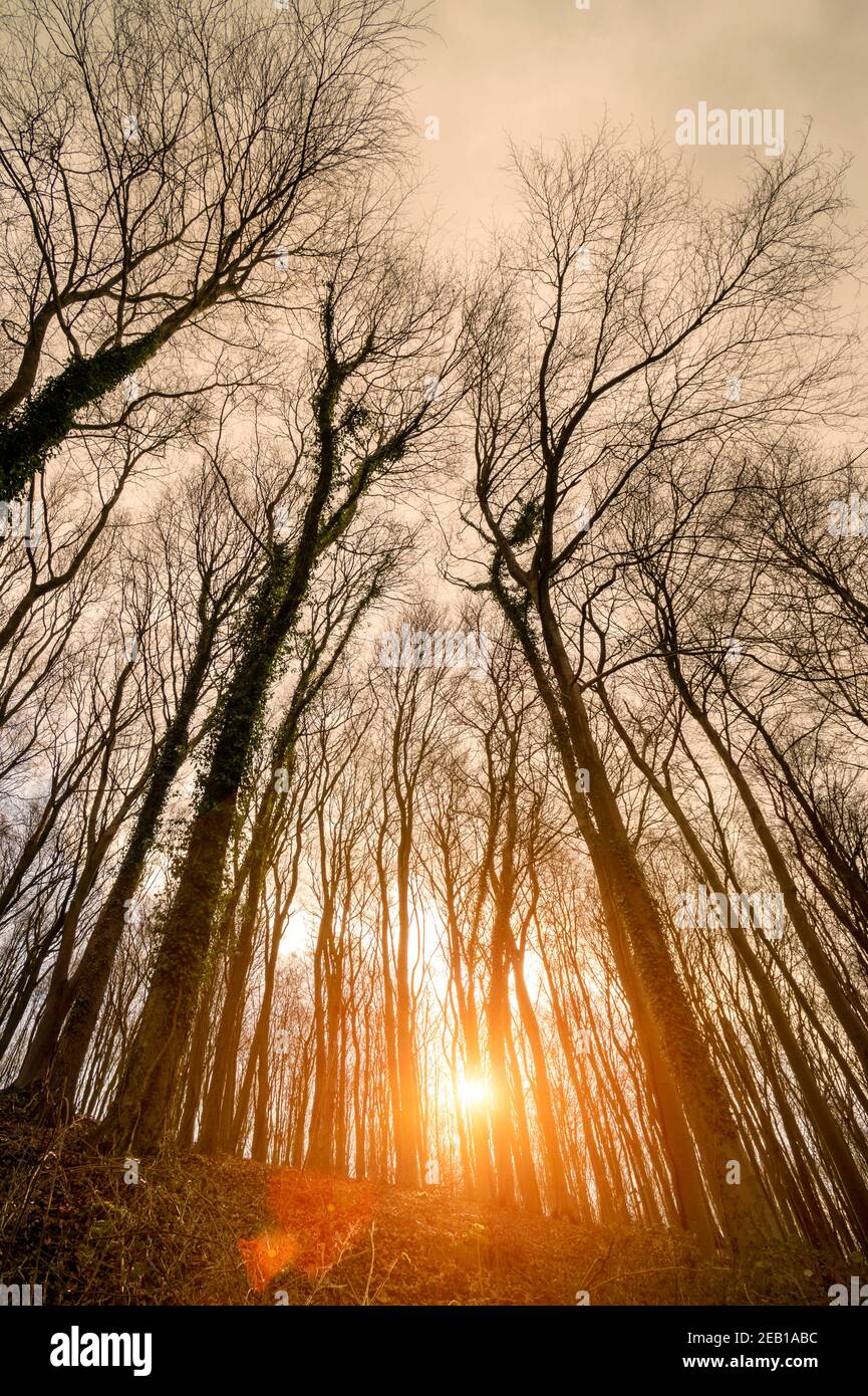 Sunlight countryside hi-res stock photography and images - Alamy