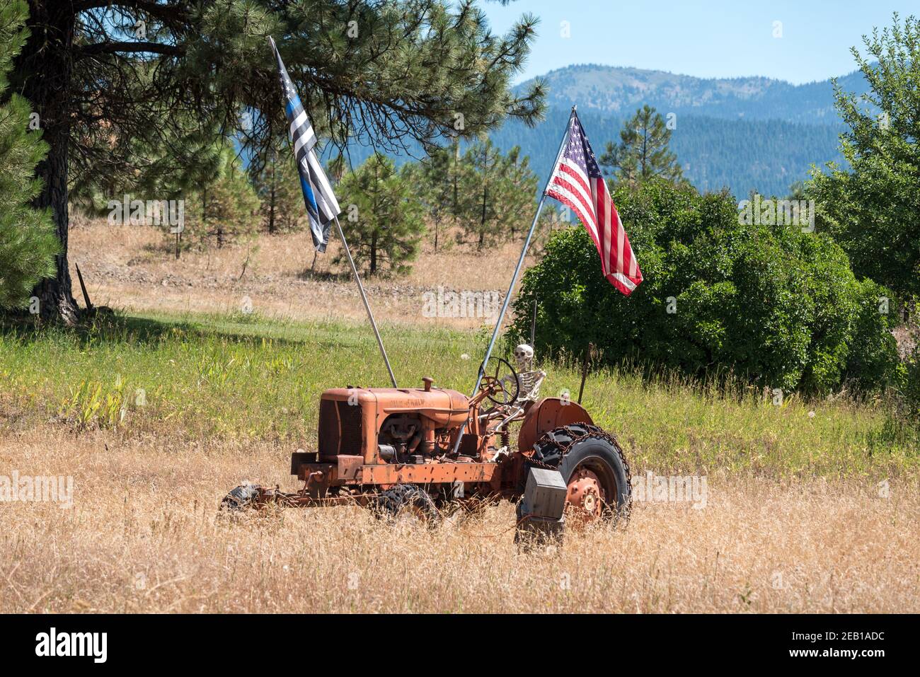 Display with flags and skeleton driving a tractor, Adams County, Idaho ...