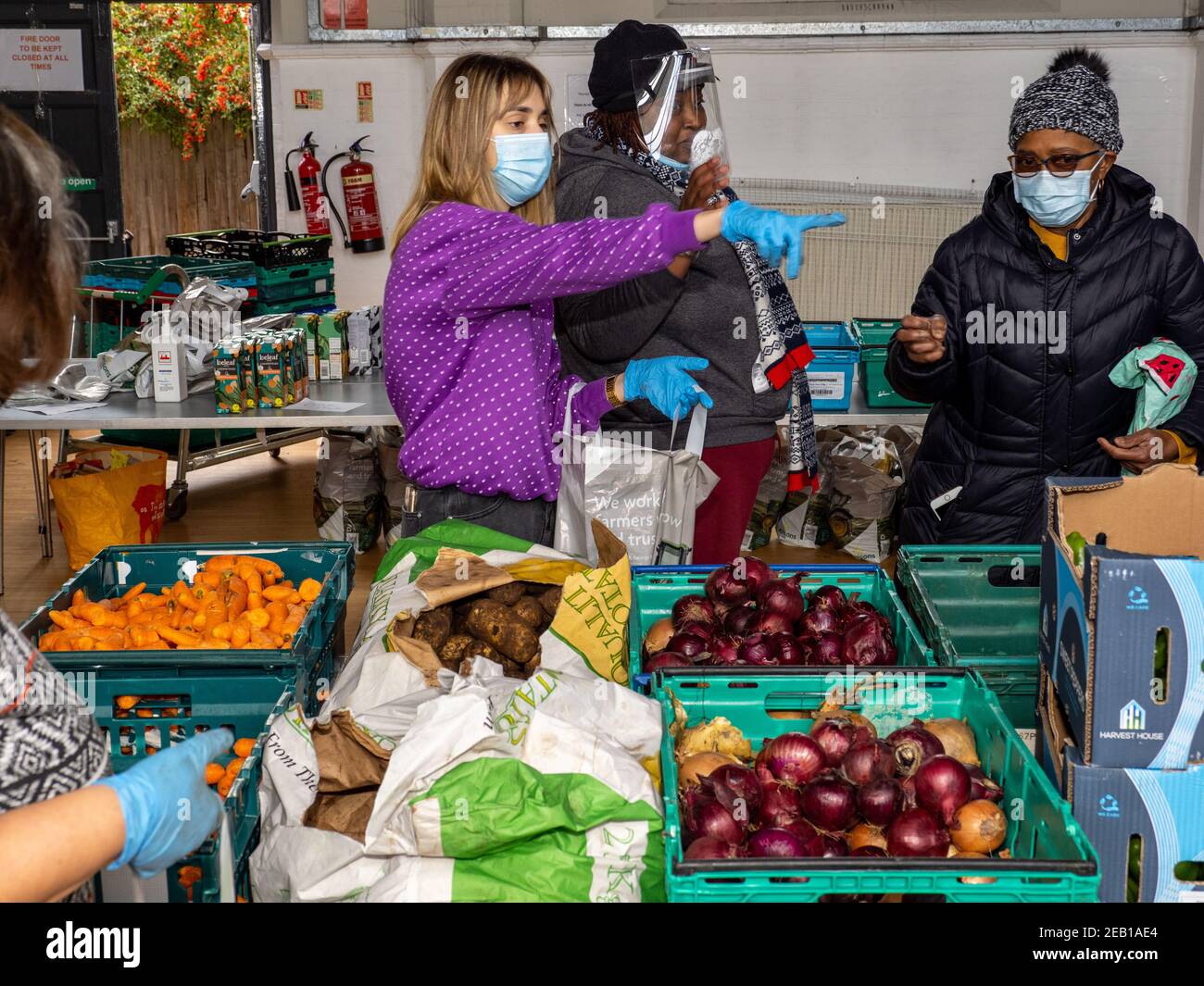 Volunteers sorting and packing produce at Bounds Green Food Bank in ...
