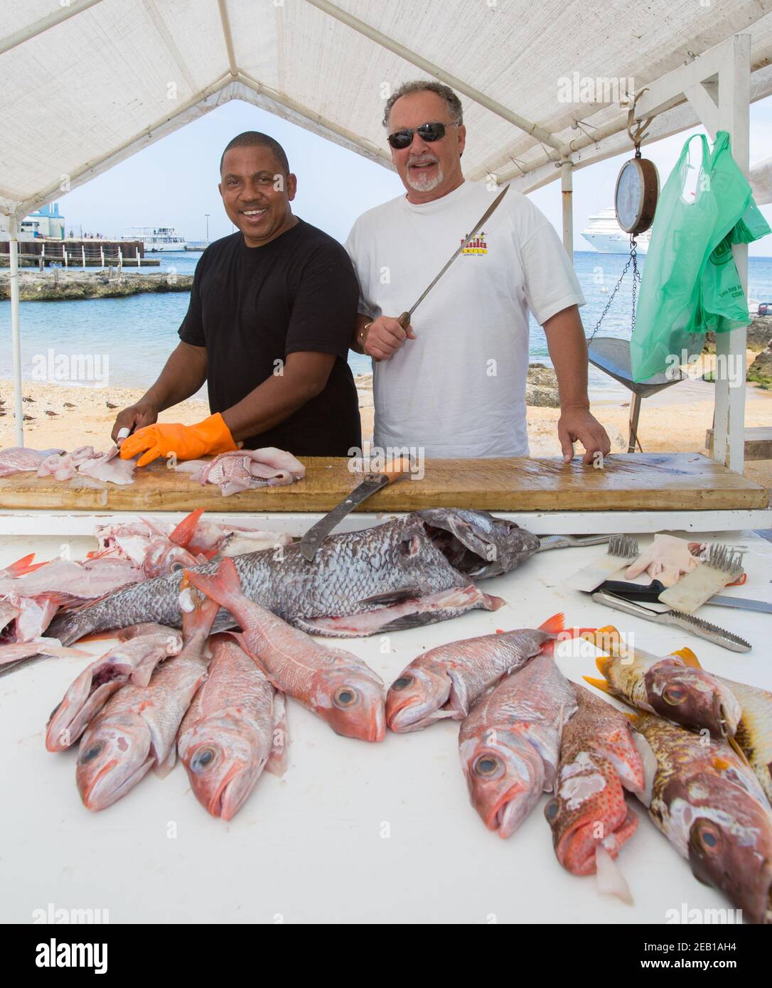 Man selling Fish At Fish Market , Cruise ship & Blue Caribbean Sea ...