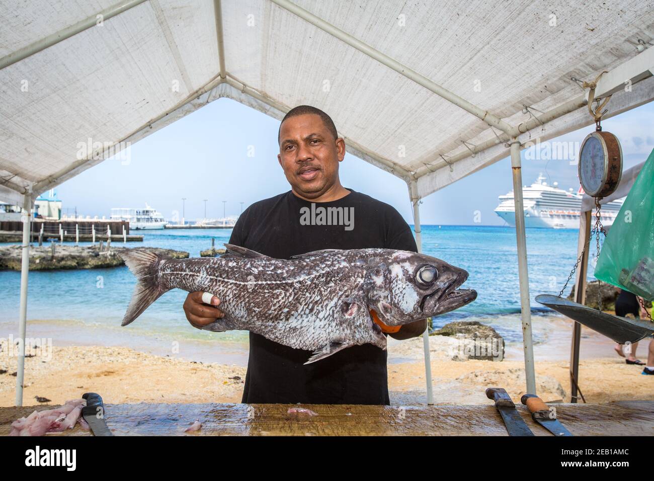 Man selling Fish At Fish Market , Cruise ship & Blue Caribbean Sea ...