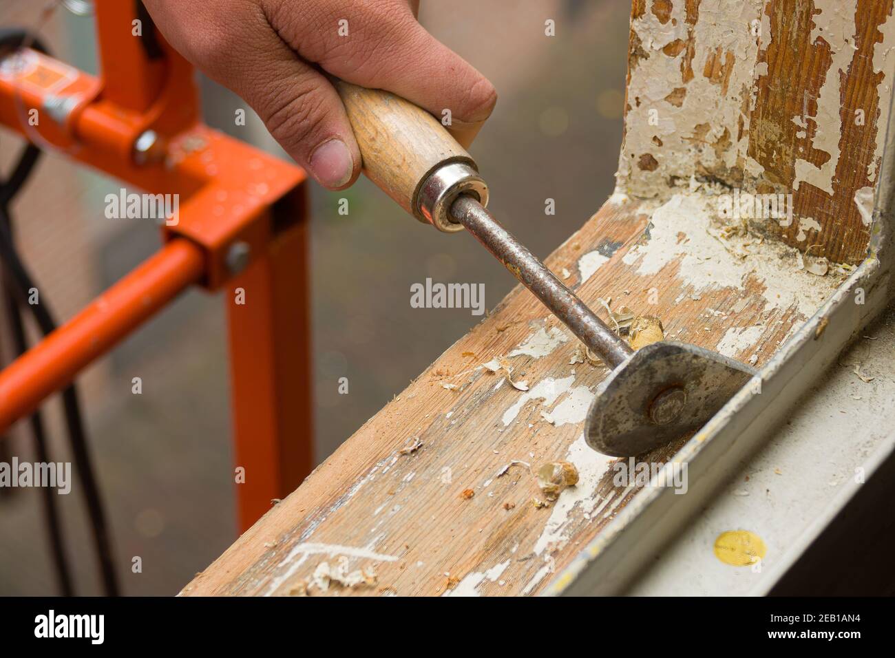 House renovation. A painter removing old paint with a scraper Stock ...