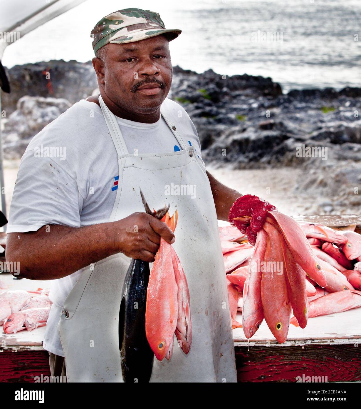 Man selling Fish At Fish Market , Cruise ship & Blue Caribbean Sea ...