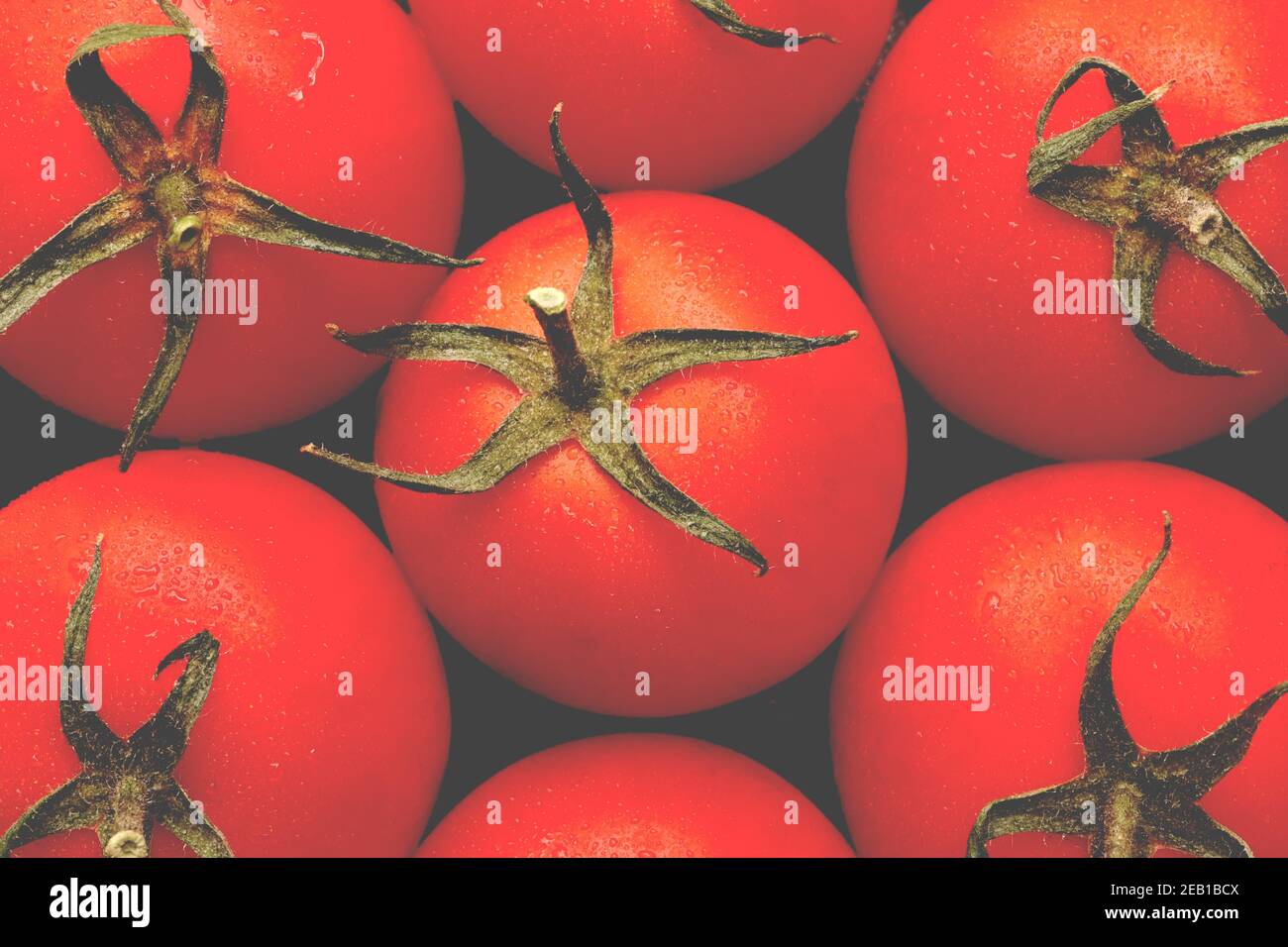 Tomato pattern hi-res stock photography and images - Alamy