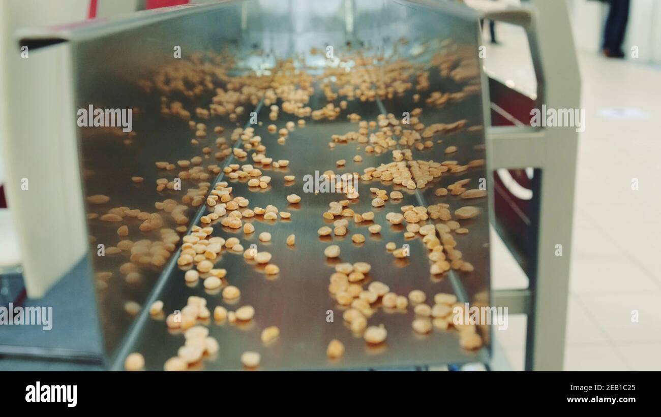 Innovative technologies: equipment which sorting and mixing bulk ...