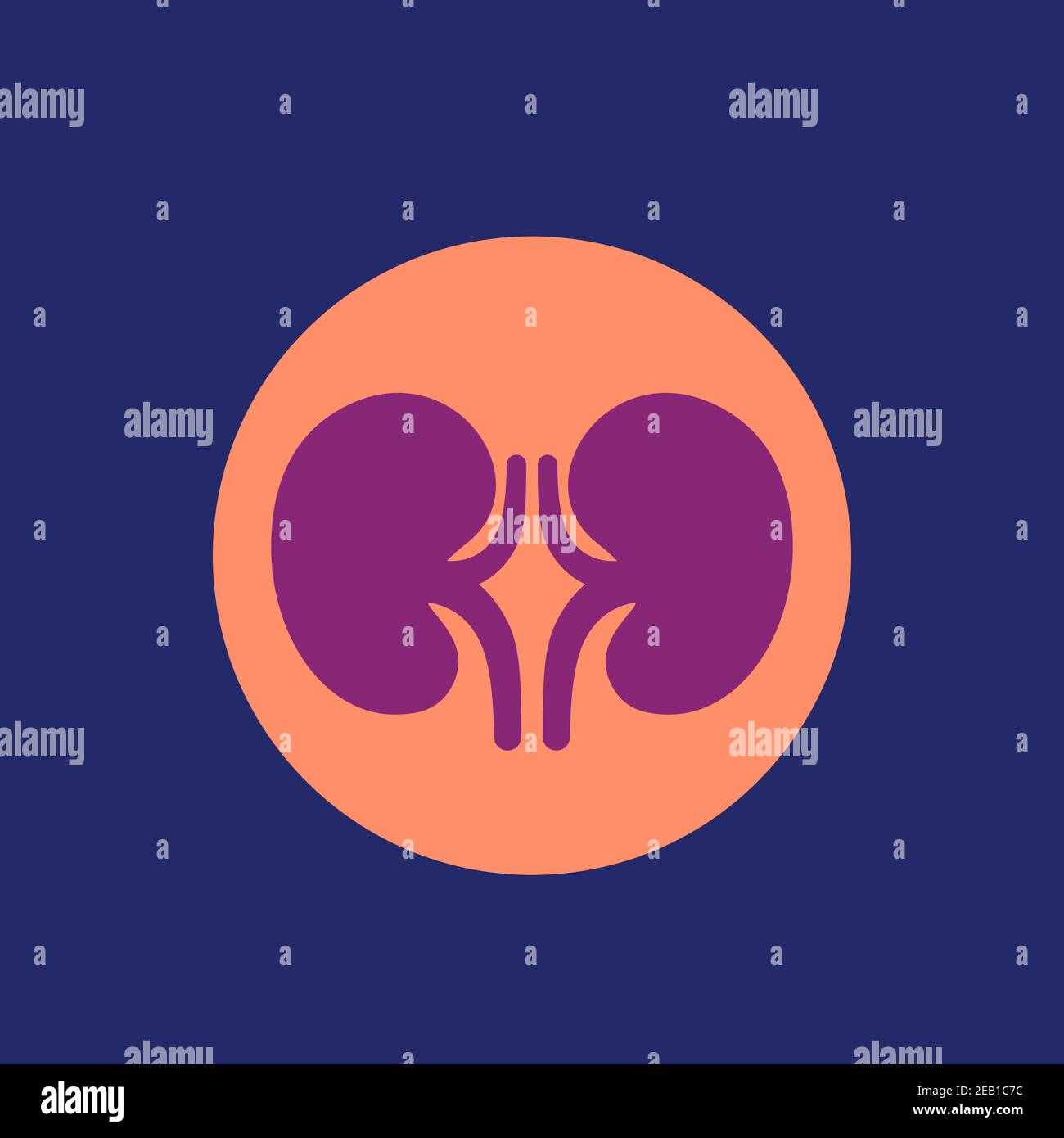 kidneys and nephrology icon, vector Stock Vector Image & Art - Alamy