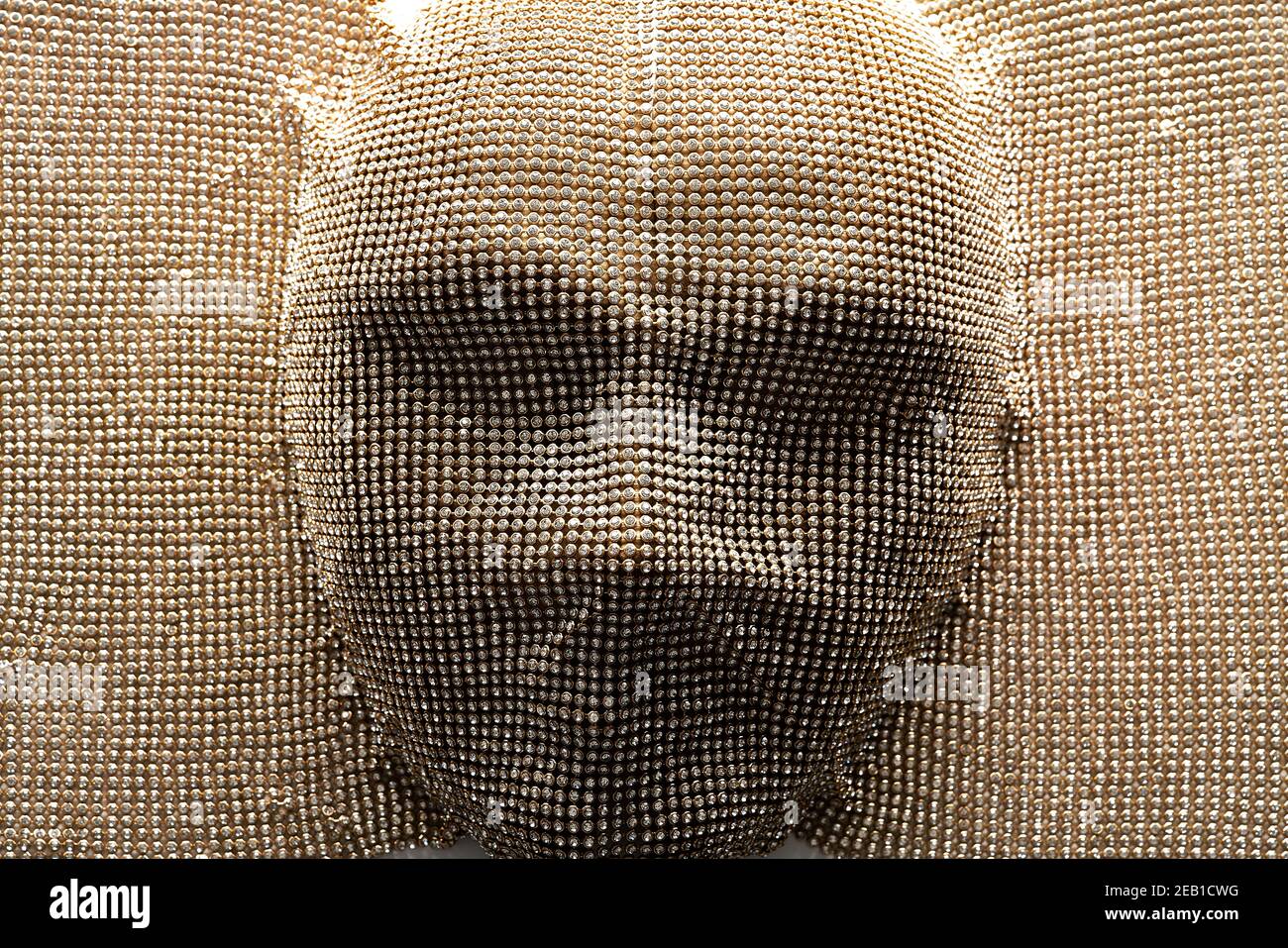 Strass strands on a white background, beautifully laid out in waves ...