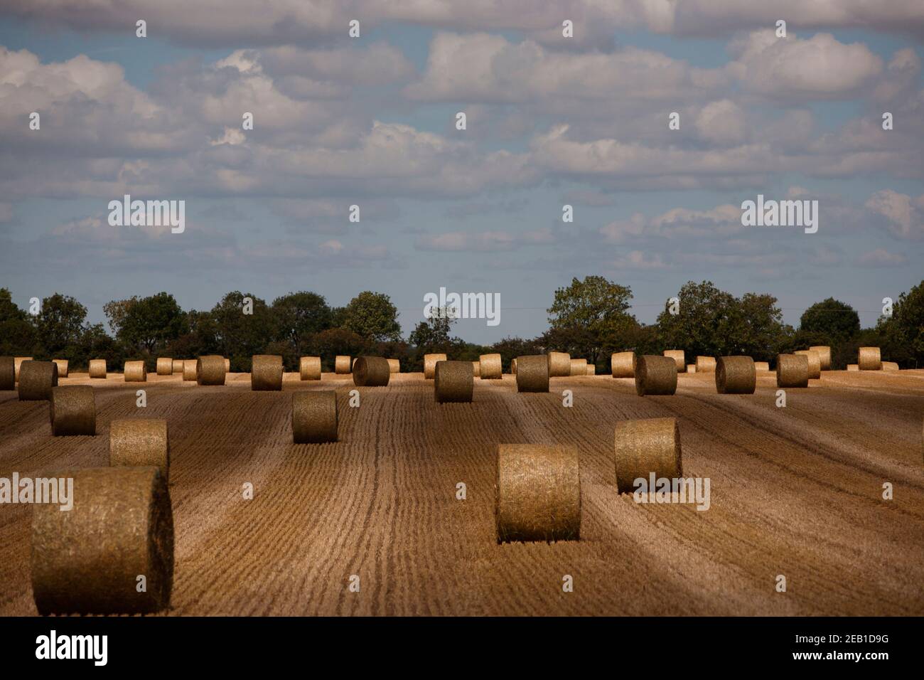 Roll bales hi-res stock photography and images - Alamy