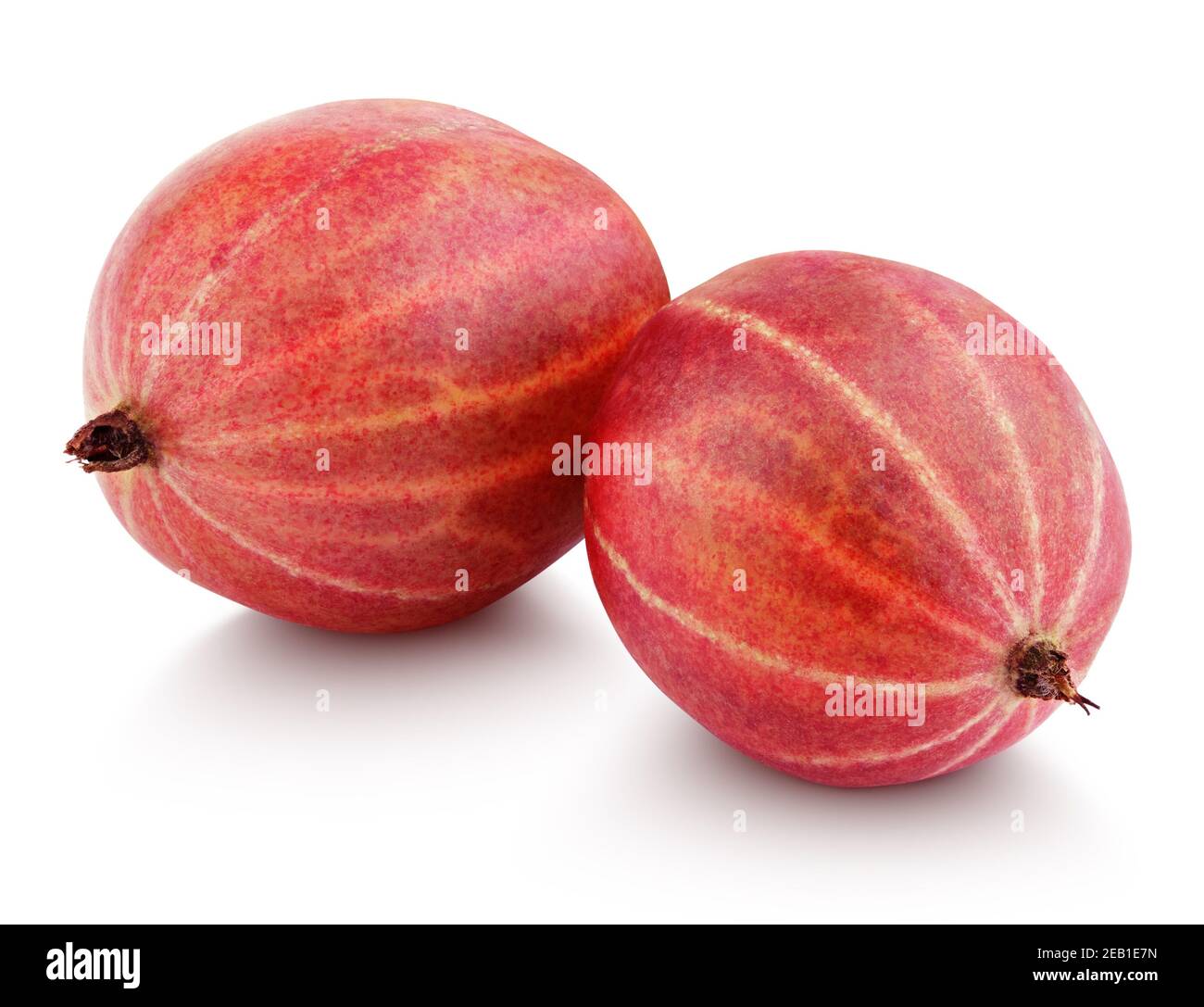 Closeup of two ripe red gooseberry berry isolated on white background ...