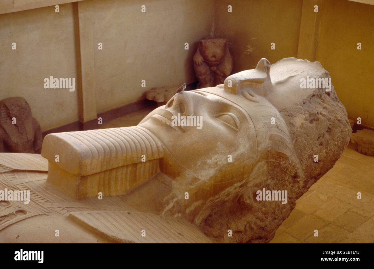 Memphis, ancient city in Lower Nile, Egypt. The colossus of Rameses II ...