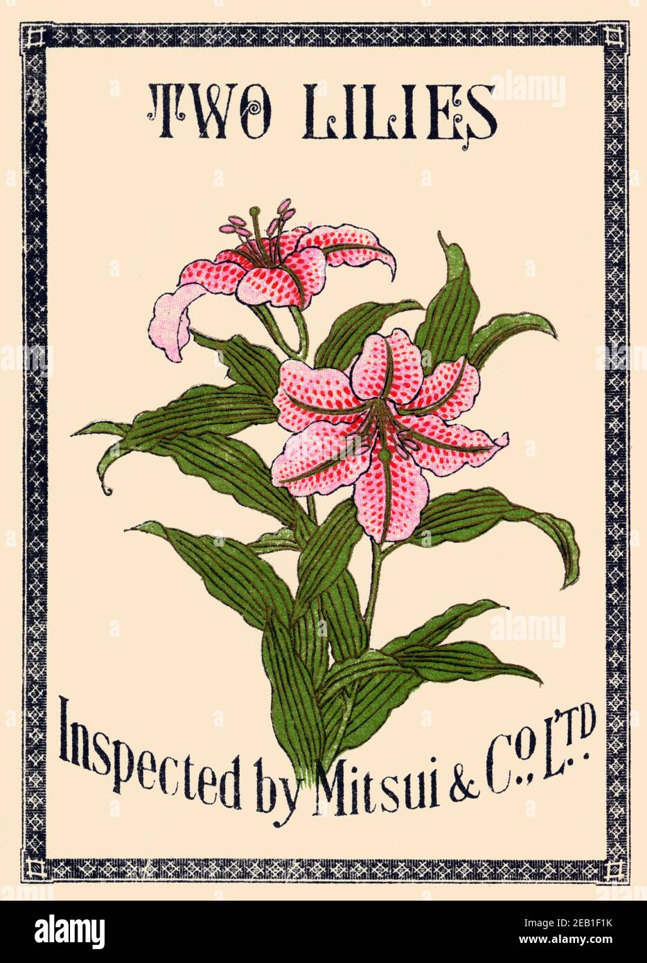 Two lilies hi-res stock photography and images - Alamy