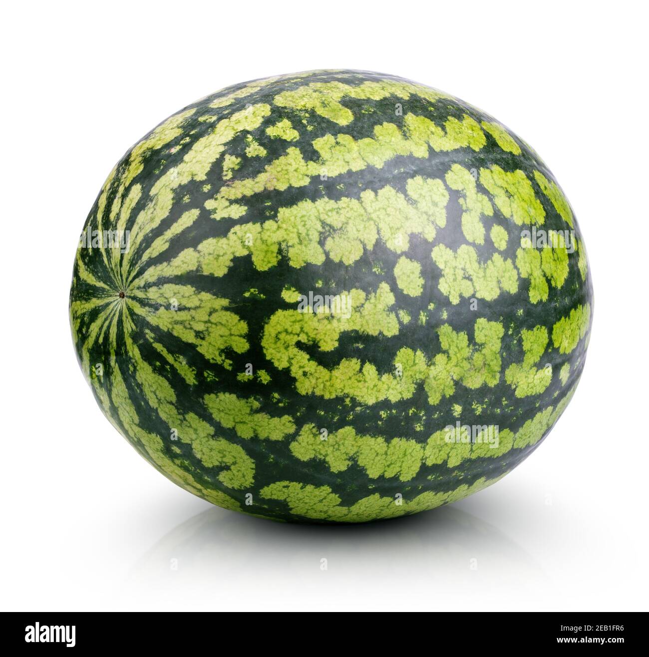 Single ripe watermelon isolated on white background with clipping path ...