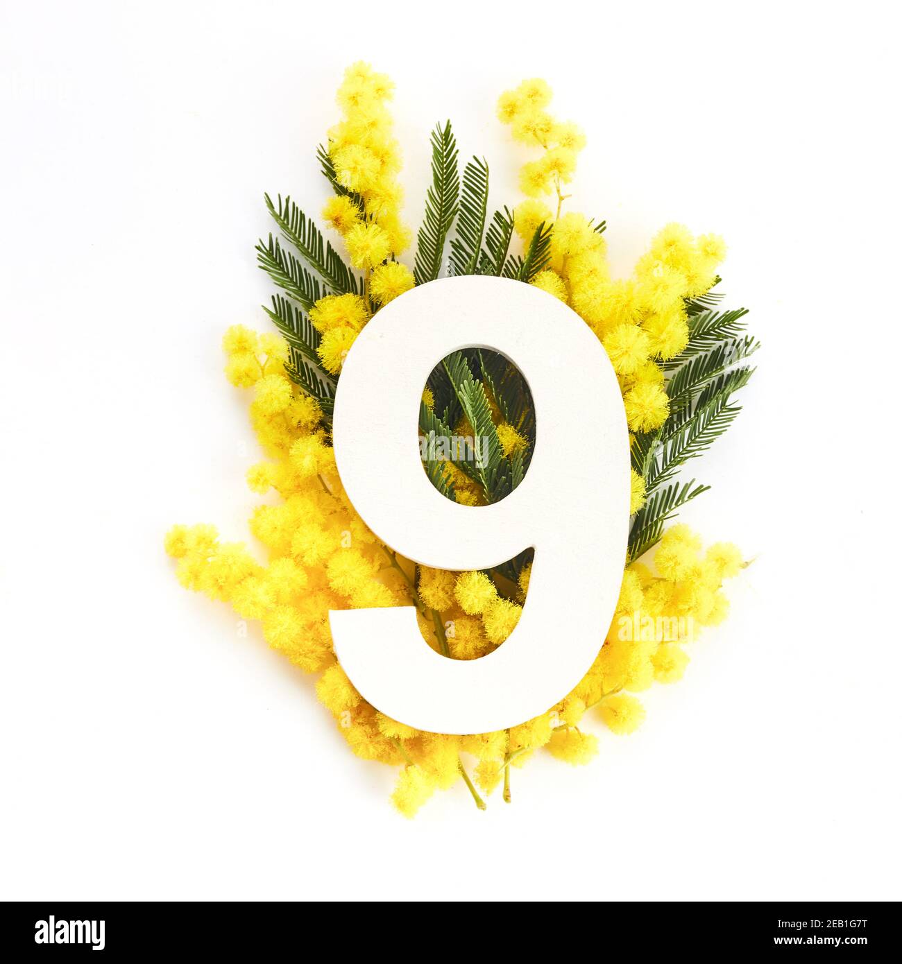Yellow nine flower hi-res stock photography and images - Alamy