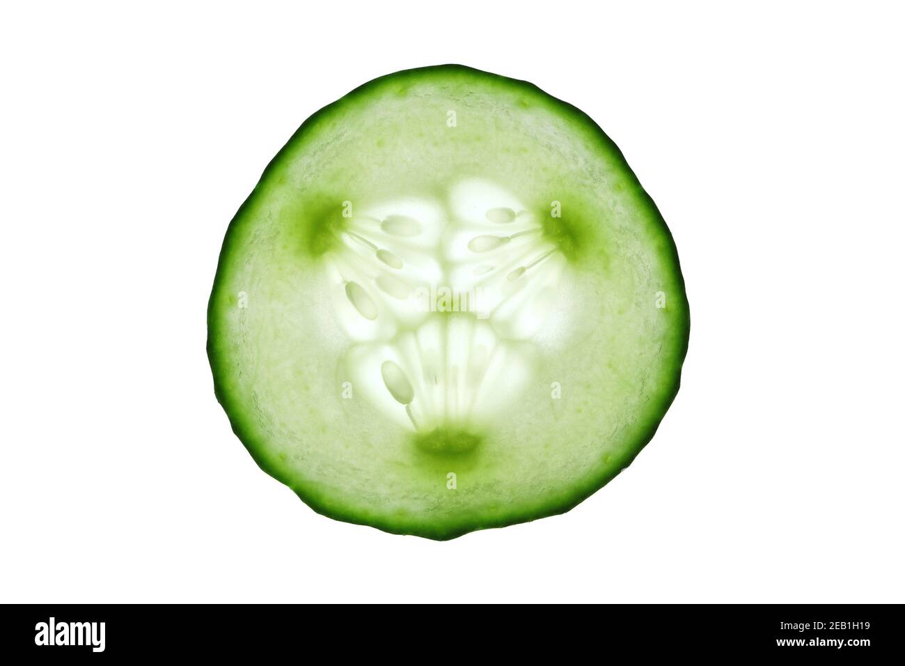 Cucumber texture Cut Out Stock Images & Pictures - Alamy