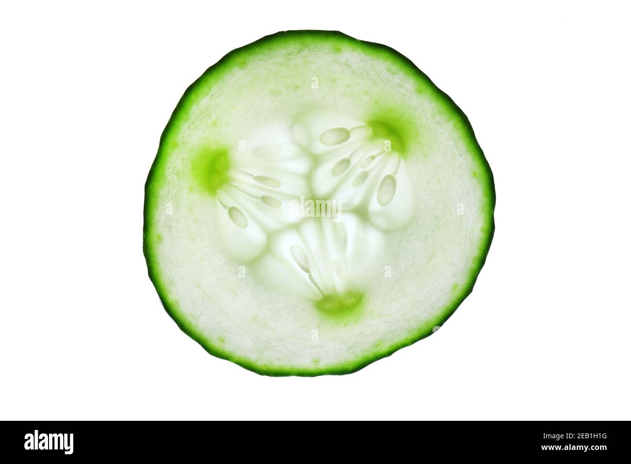 Cucumber texture Cut Out Stock Images & Pictures - Alamy