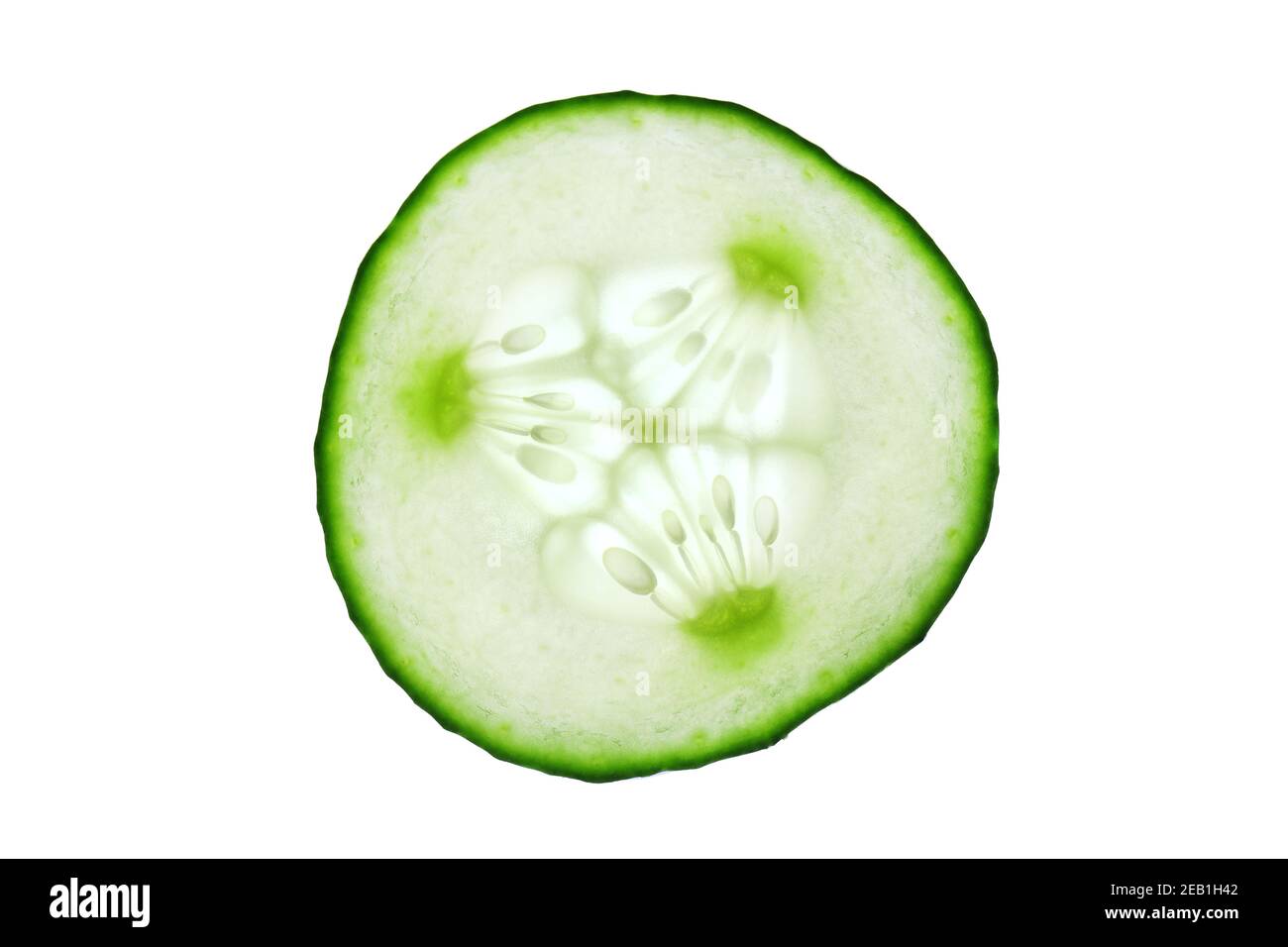 Cucumber texture Cut Out Stock Images & Pictures - Alamy