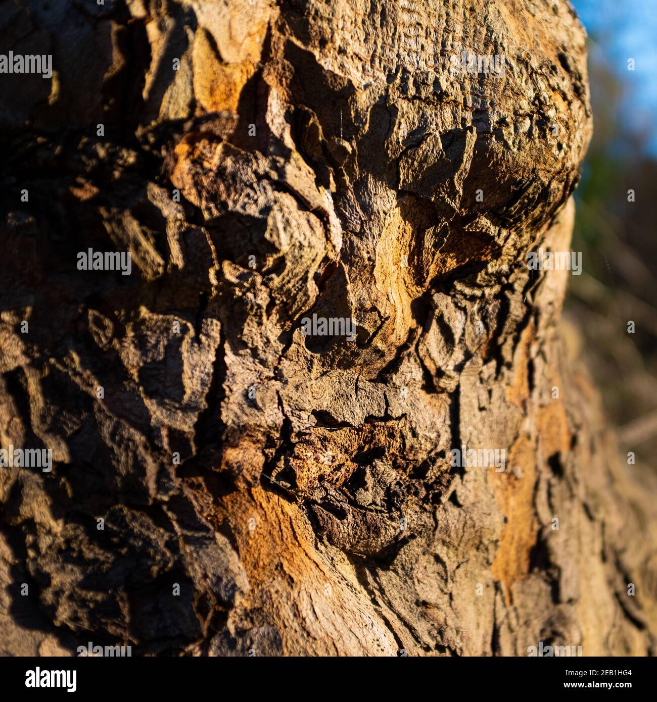 Wood mask hi-res stock photography and images - Alamy