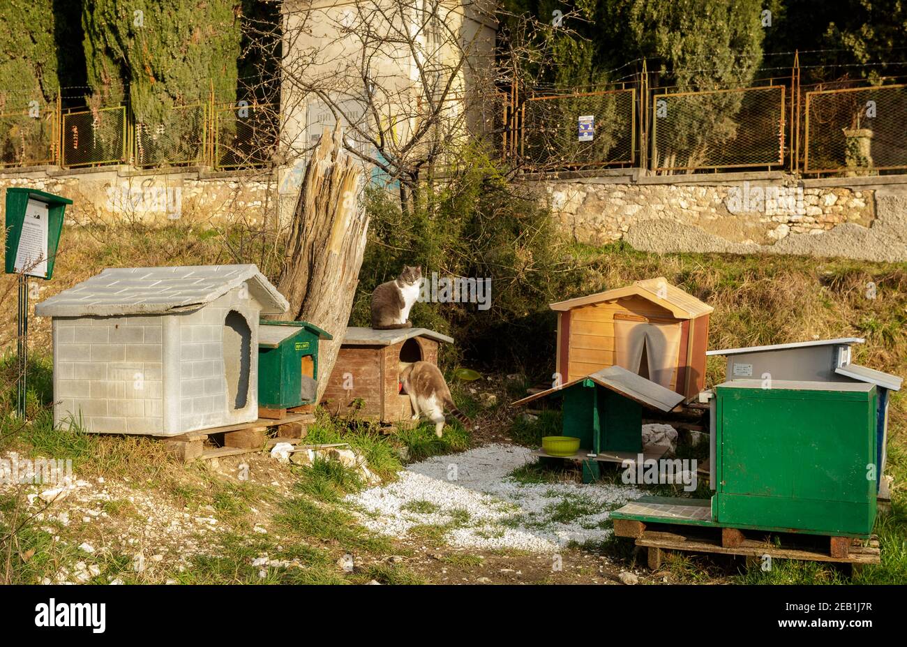 Protected feral cat colony hi-res stock photography and images - Alamy