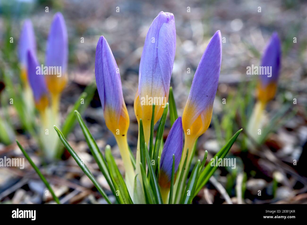 Yellow tubular base hi-res stock photography and images - Alamy
