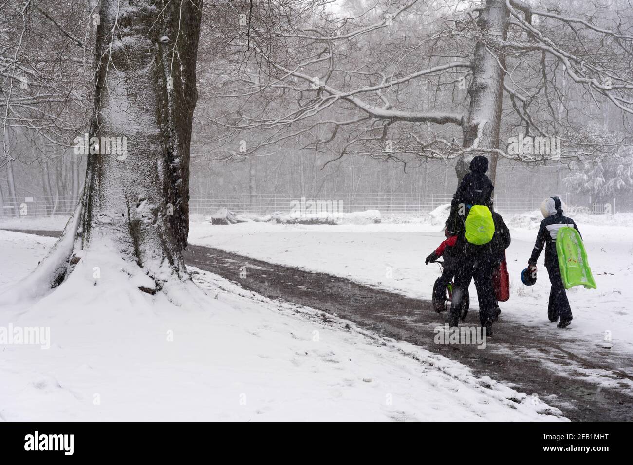 Kent, England, 7th February 2021 A family carried sledge in public park ...