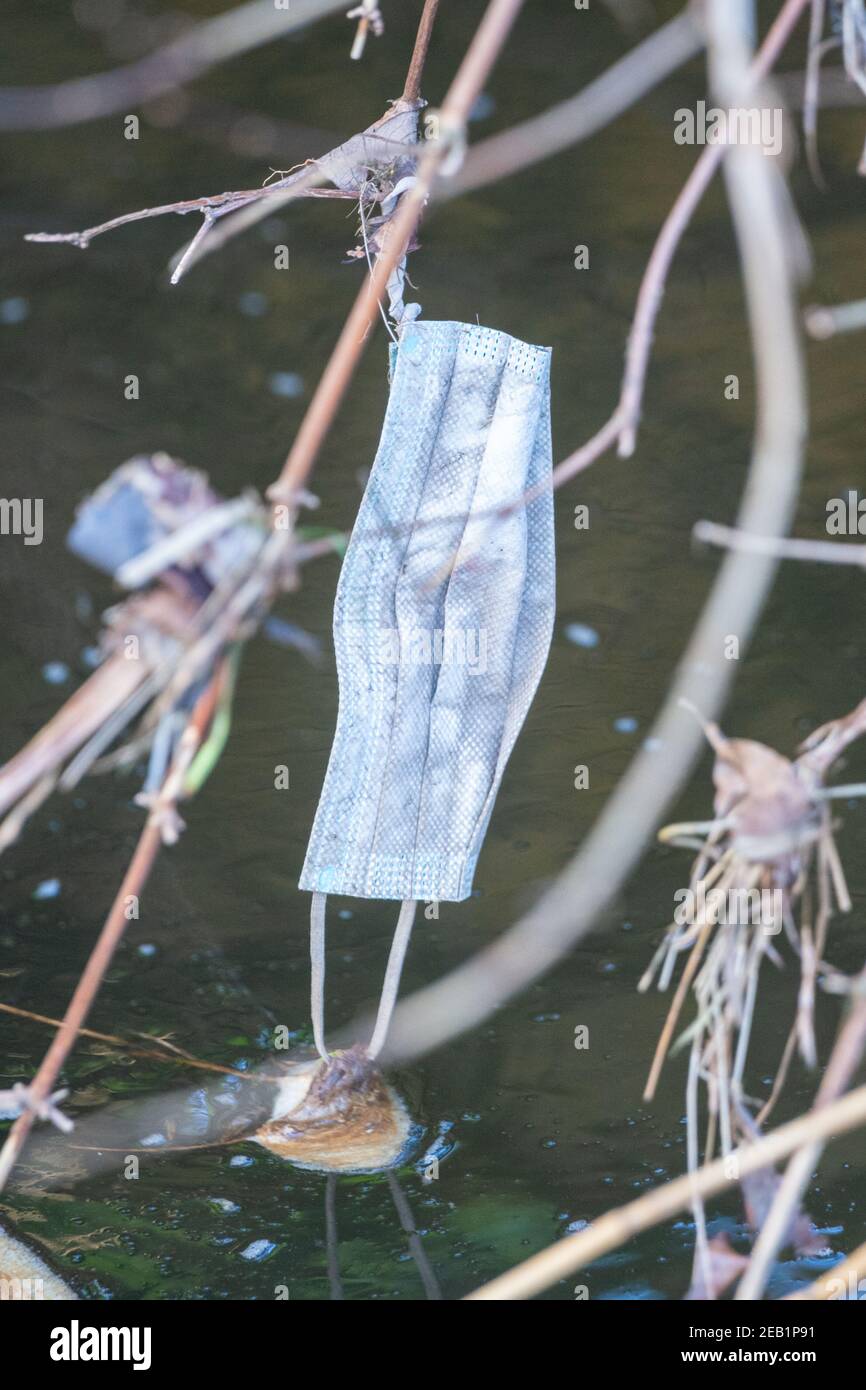 Disposable blue pleated face mask litter seen in a flowing river ...