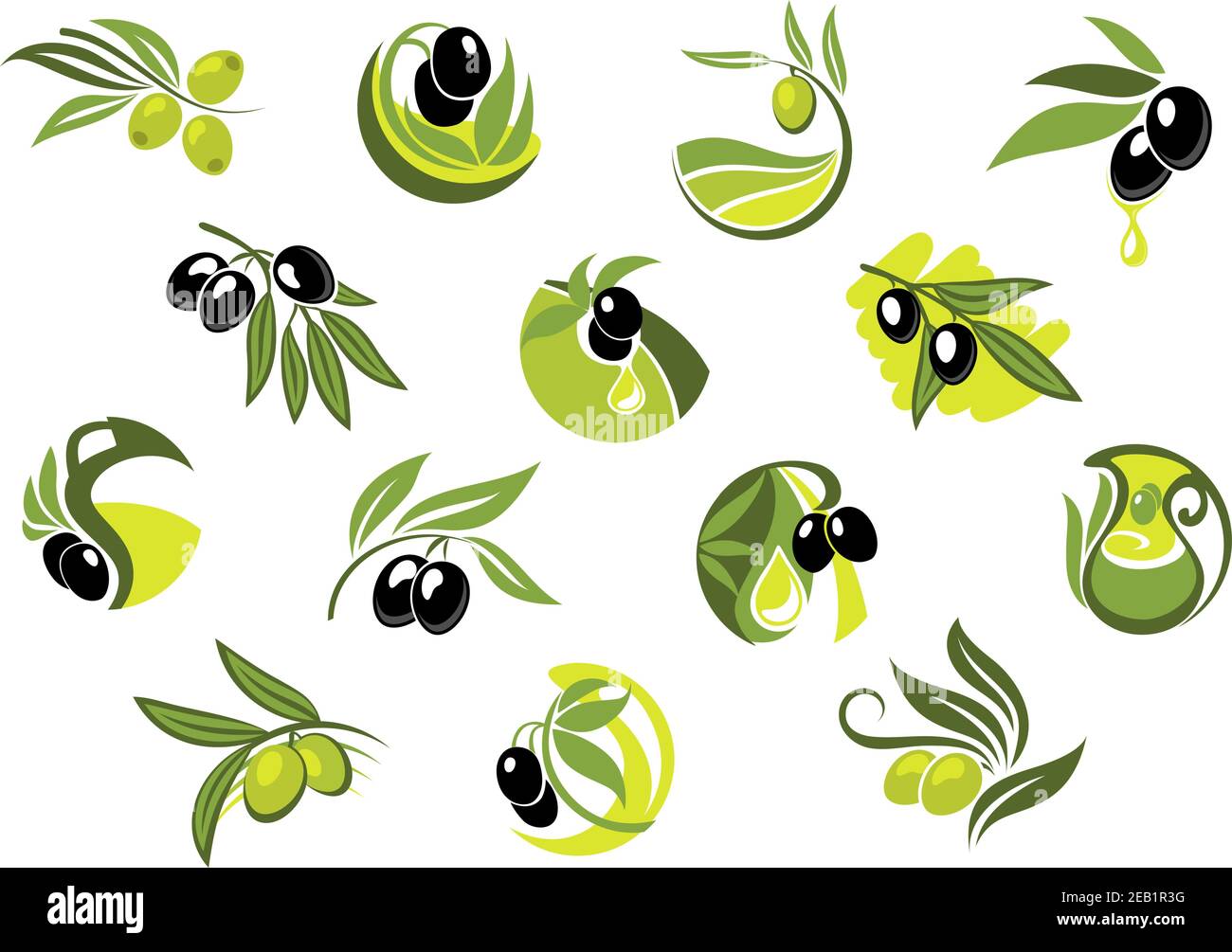 Olive tree branches with green and black glossy fruit, leaves and drops ...